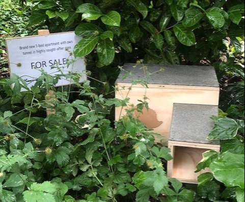 Newark College Hedgehog Friendly Campus